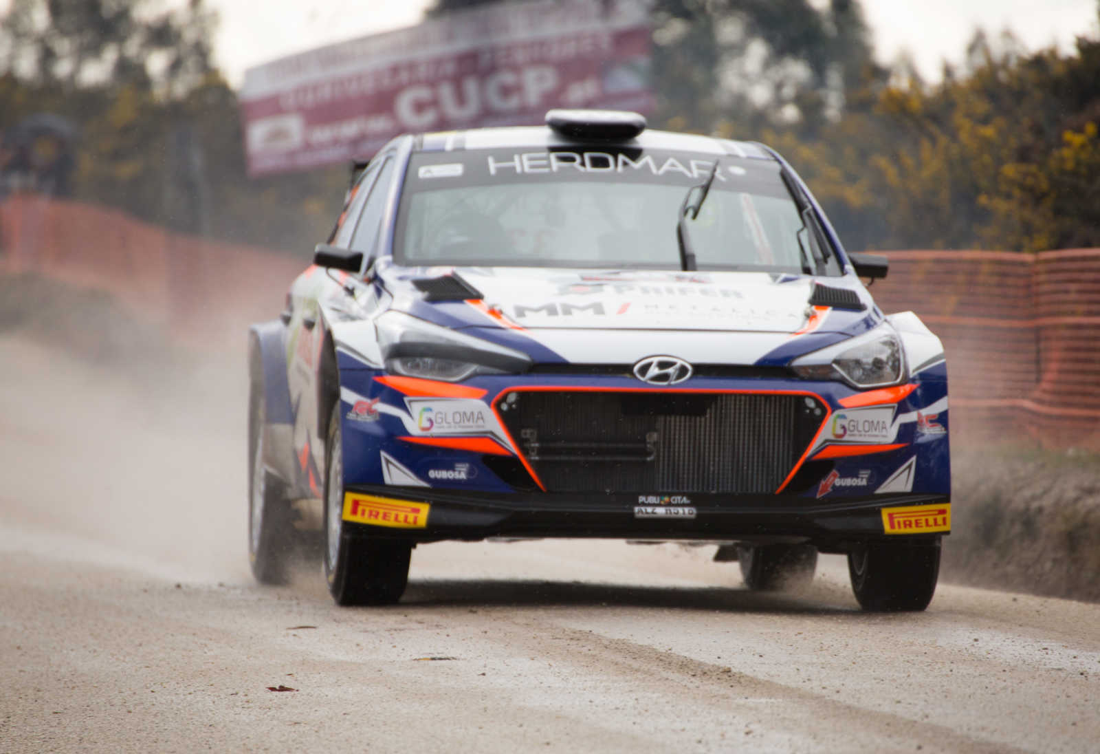 Types of Rally Cars Explained: Understanding WRC Classes Better