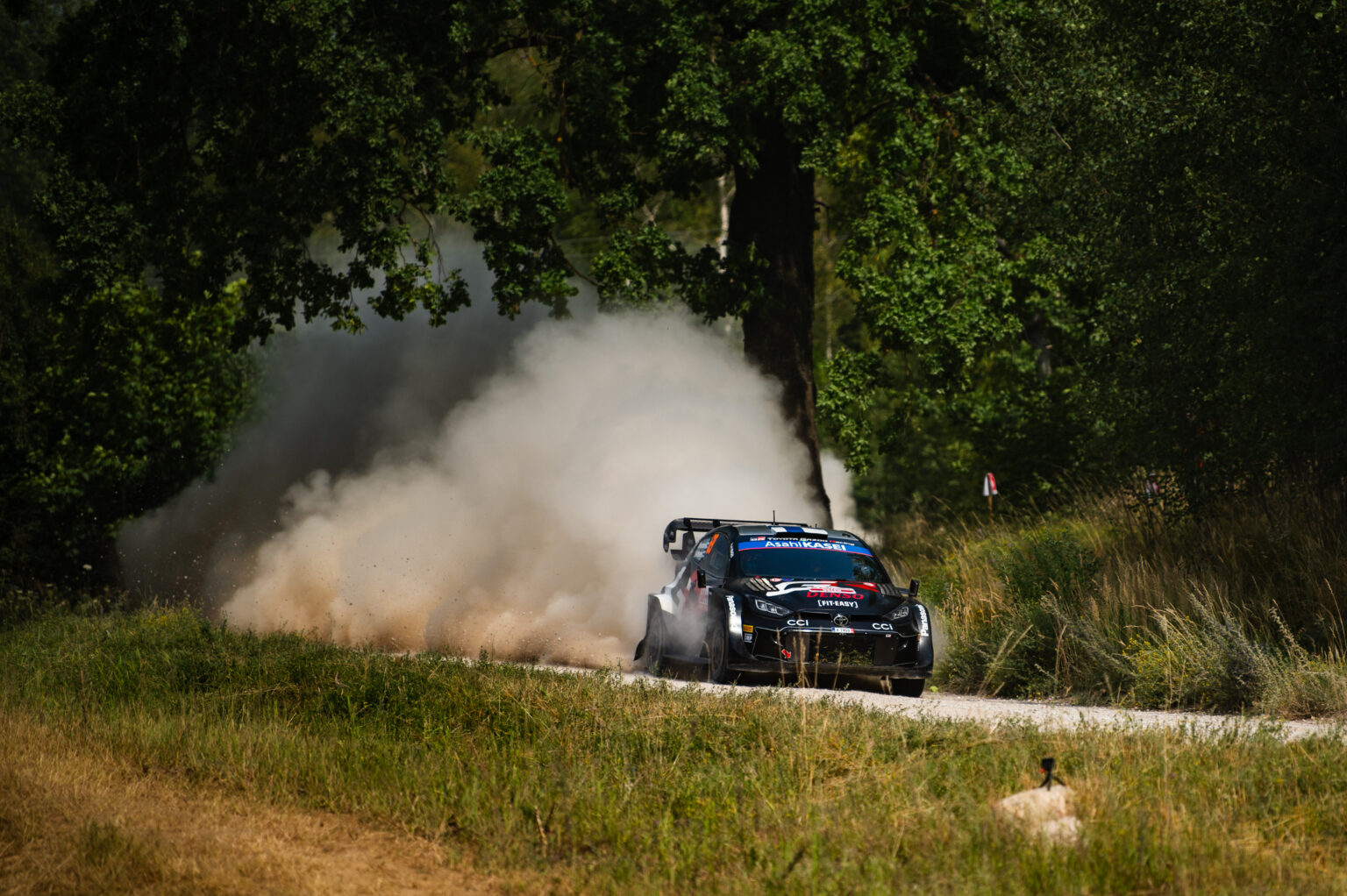 Types of Rally Cars Explained: Understanding WRC Classes Better